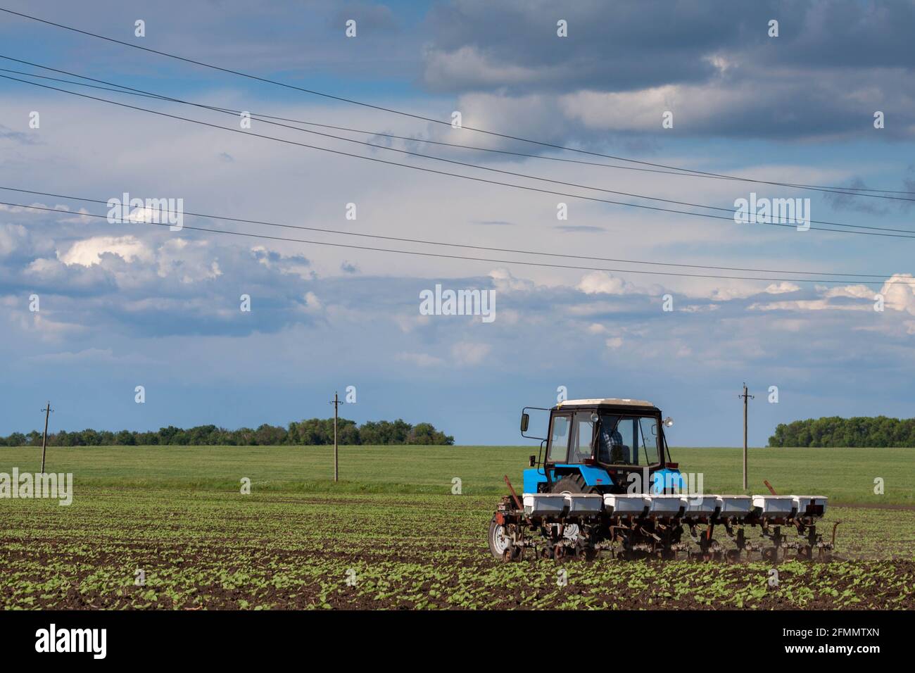 field work in agriculture. farmer's tractor harrows the field after ...