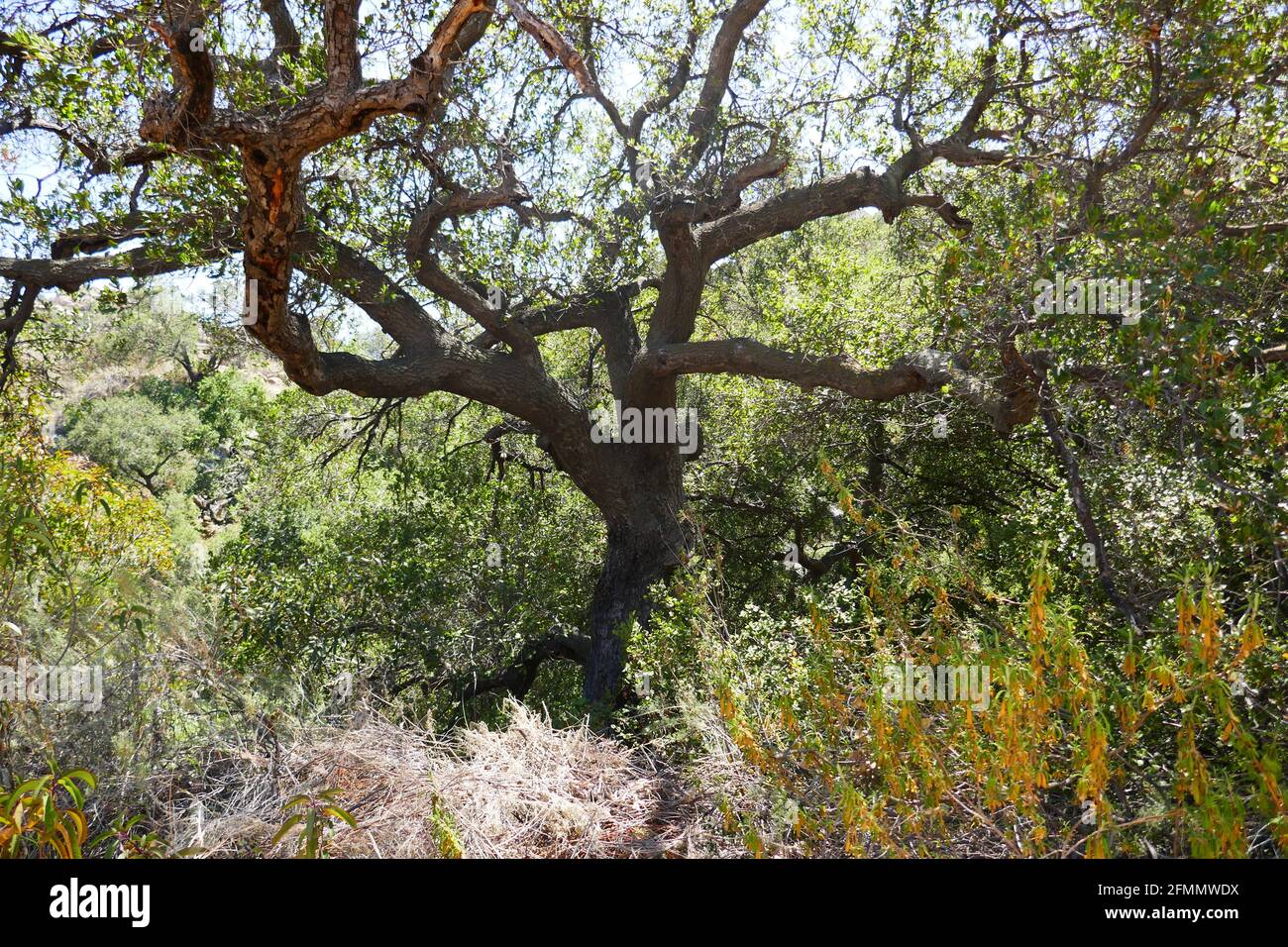 Los Angeles, California USA 3rd May 2021 A general view of atmosphere ...