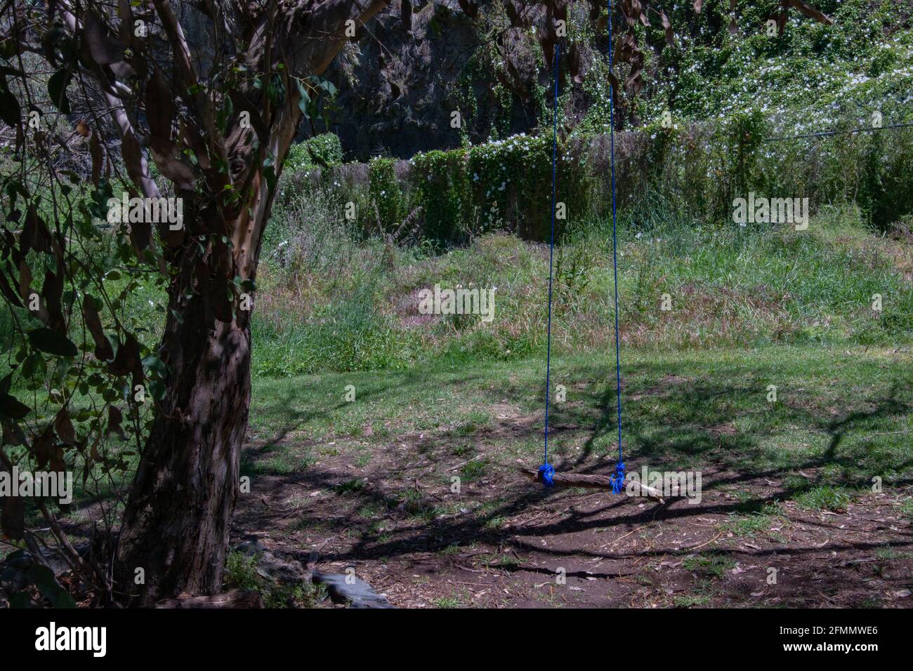 Tree swing hi-res stock photography and images - Alamy