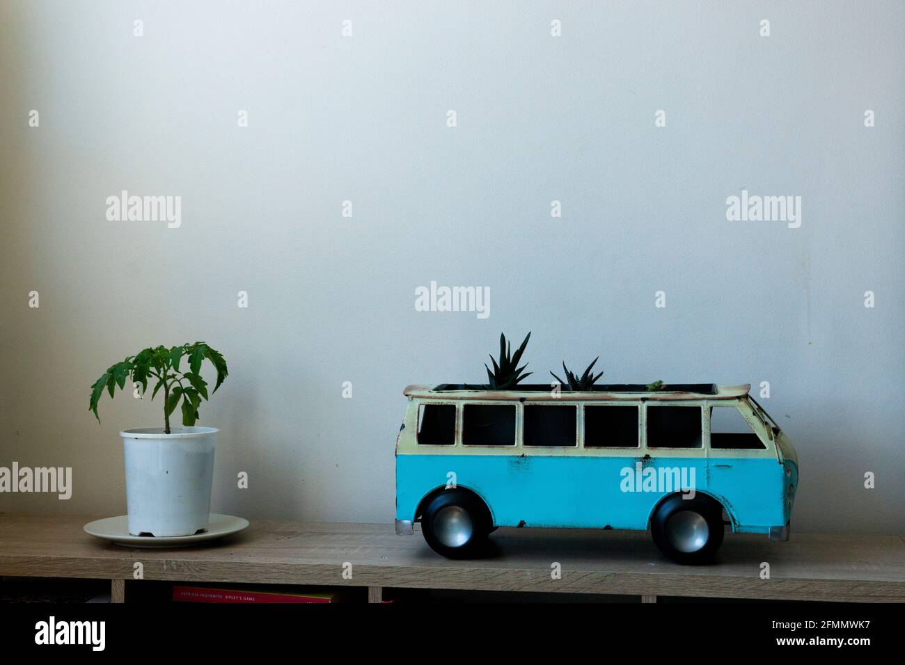 Succulent Plants On Shelf With Van Shaped Pot Plant Holder Stock Photo ...