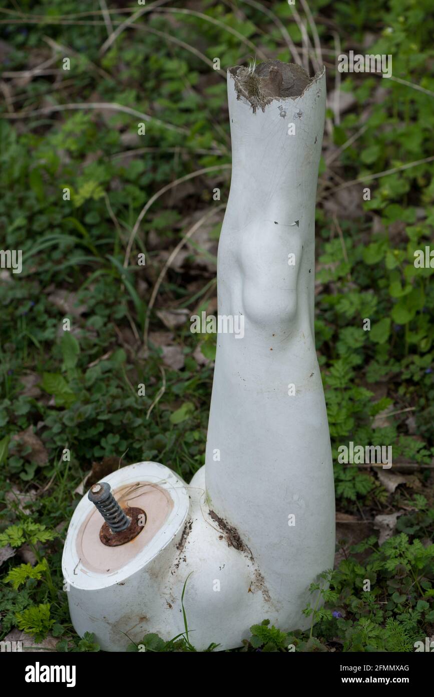 unfortunate window display mannequin, male, discarded outdoors, missing ...