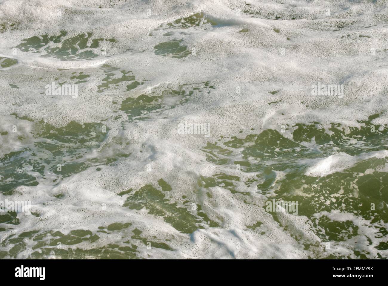 Sea foam background. Oceanic foam texture Stock Photo - Alamy