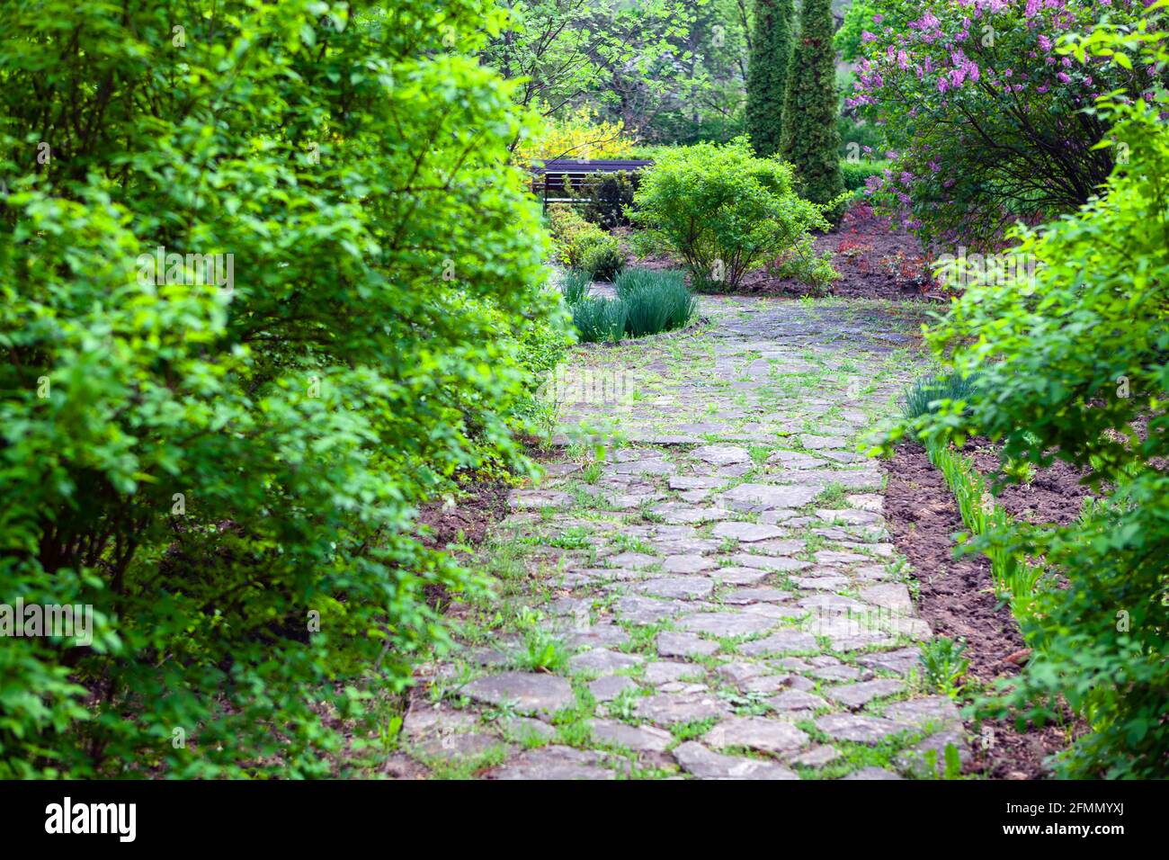 Walking path with cobblestone in the green park Stock Photo - Alamy