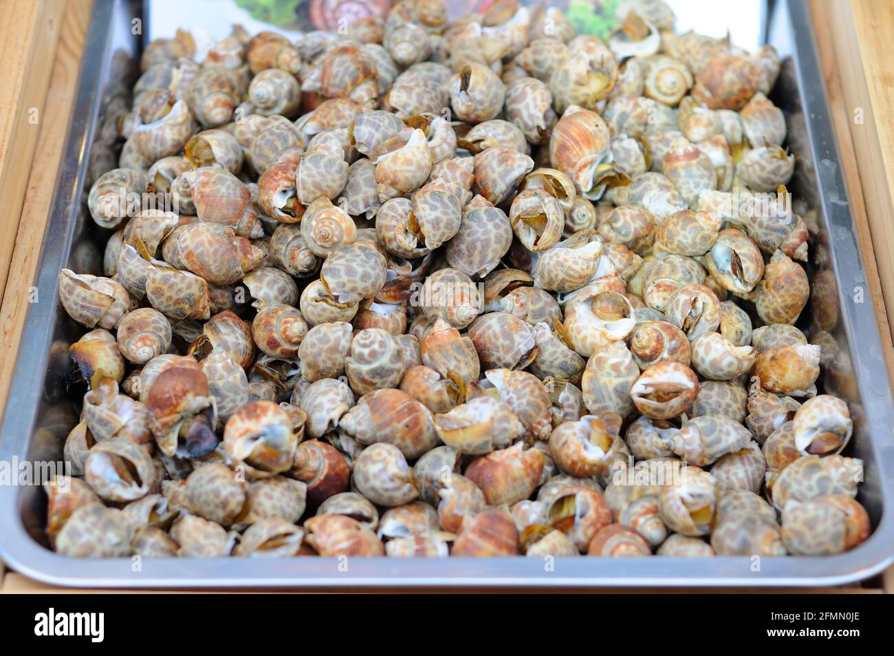 Grilled Snails in a Tray Stock Photo - Alamy