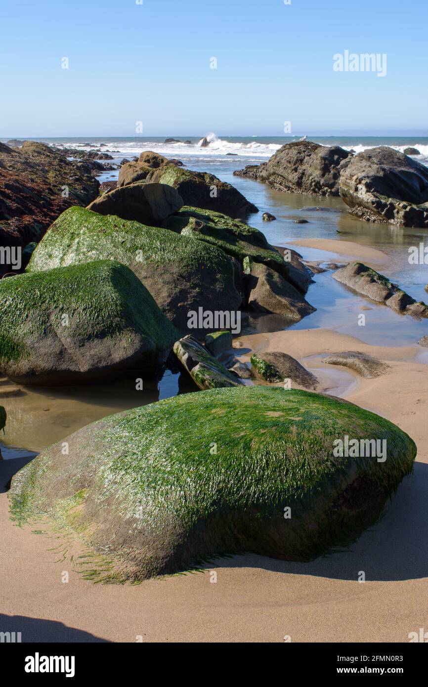 Bowling ball beach mendocino hi-res stock photography and images - Alamy