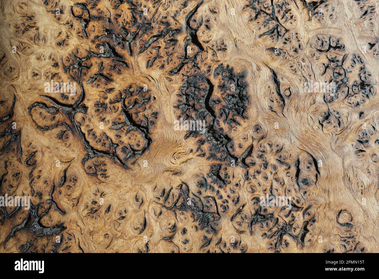 Patterns wood hi-res stock photography and images - Alamy