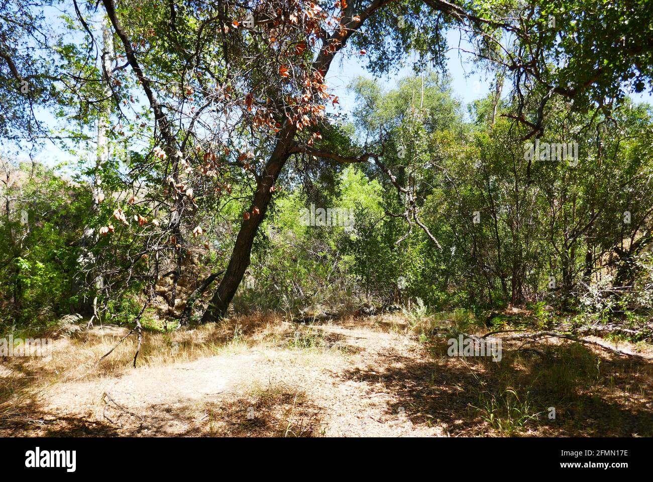 Chatsworth, California USA 3rd May 2021 A general view of atmosphere of ...