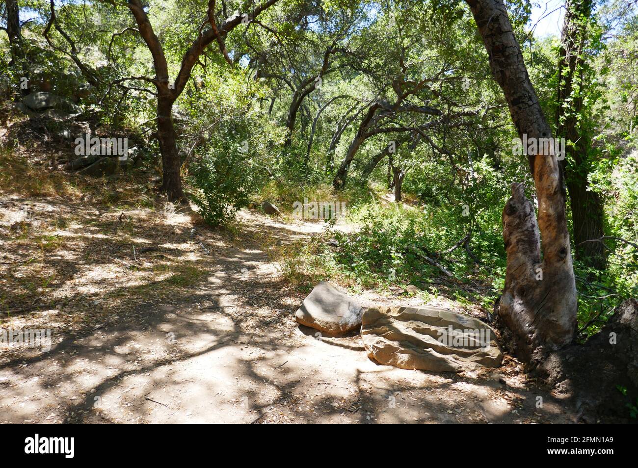 Chatsworth, California USA 3rd May 2021 A general view of atmosphere of ...