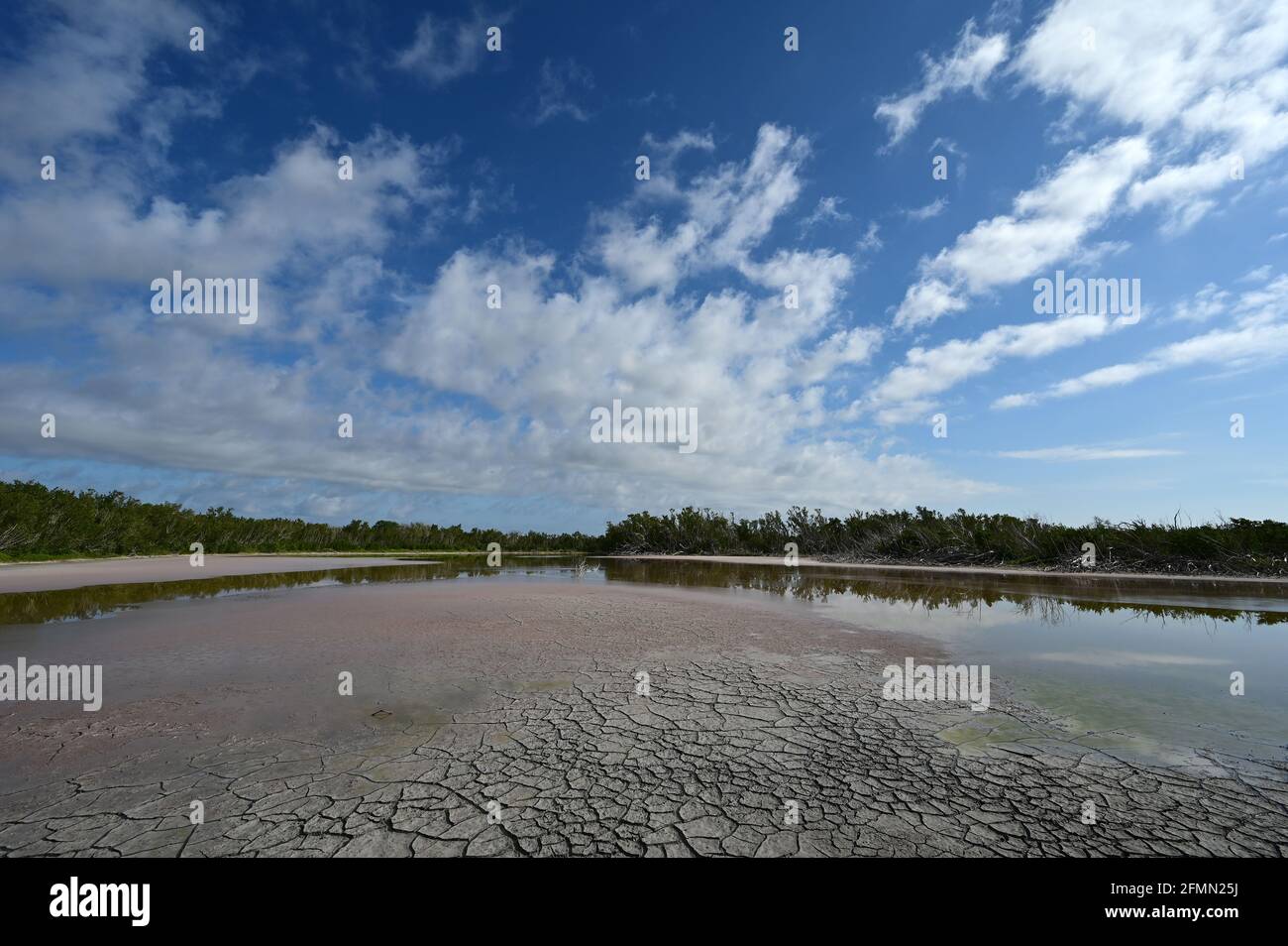 Mud lake bottom in hi-res stock photography and images - Alamy