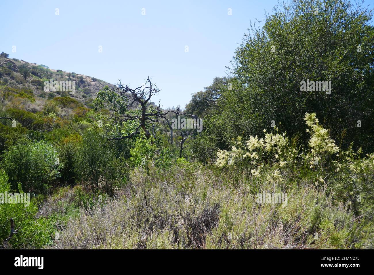 Chatsworth, California USA 3rd May 2021 A general view of atmosphere of ...