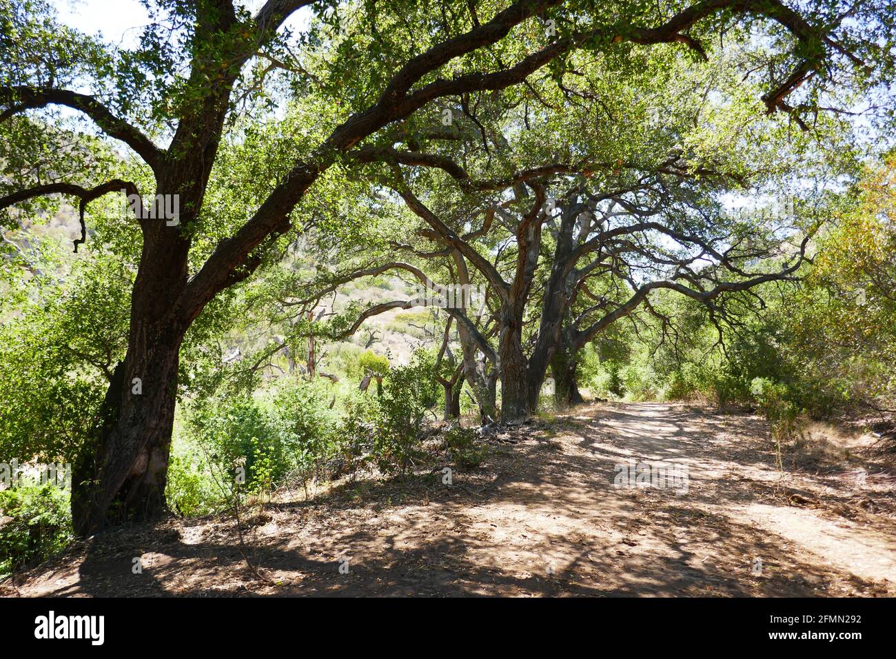 Chatsworth, California USA 3rd May 2021 A general view of atmosphere of ...