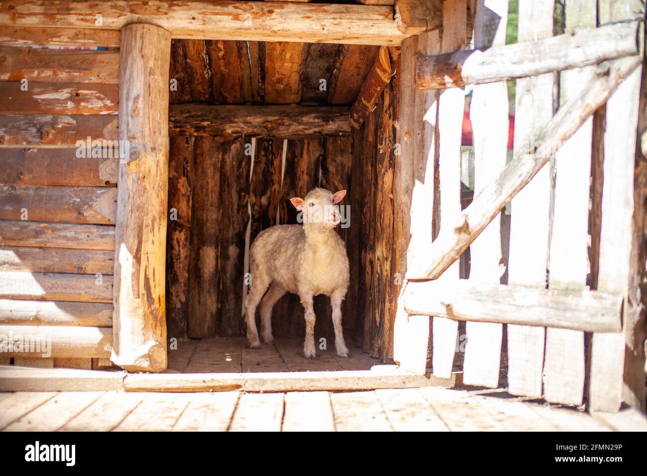 Shearing stands hi-res stock photography and images - Alamy