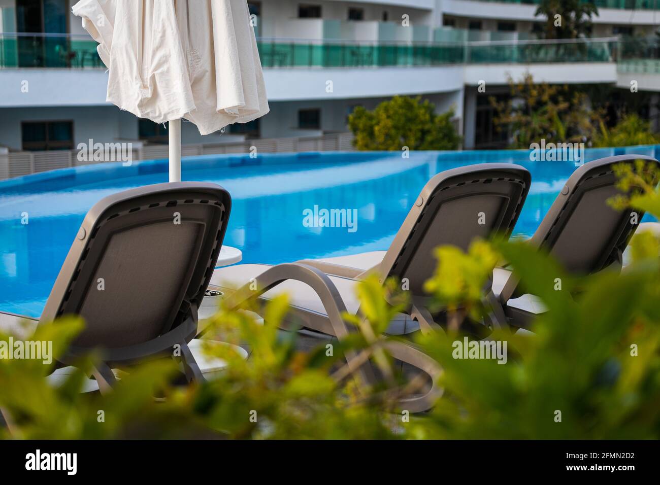 Swimming pool backdrop palm tree hi-res stock photography and images ...