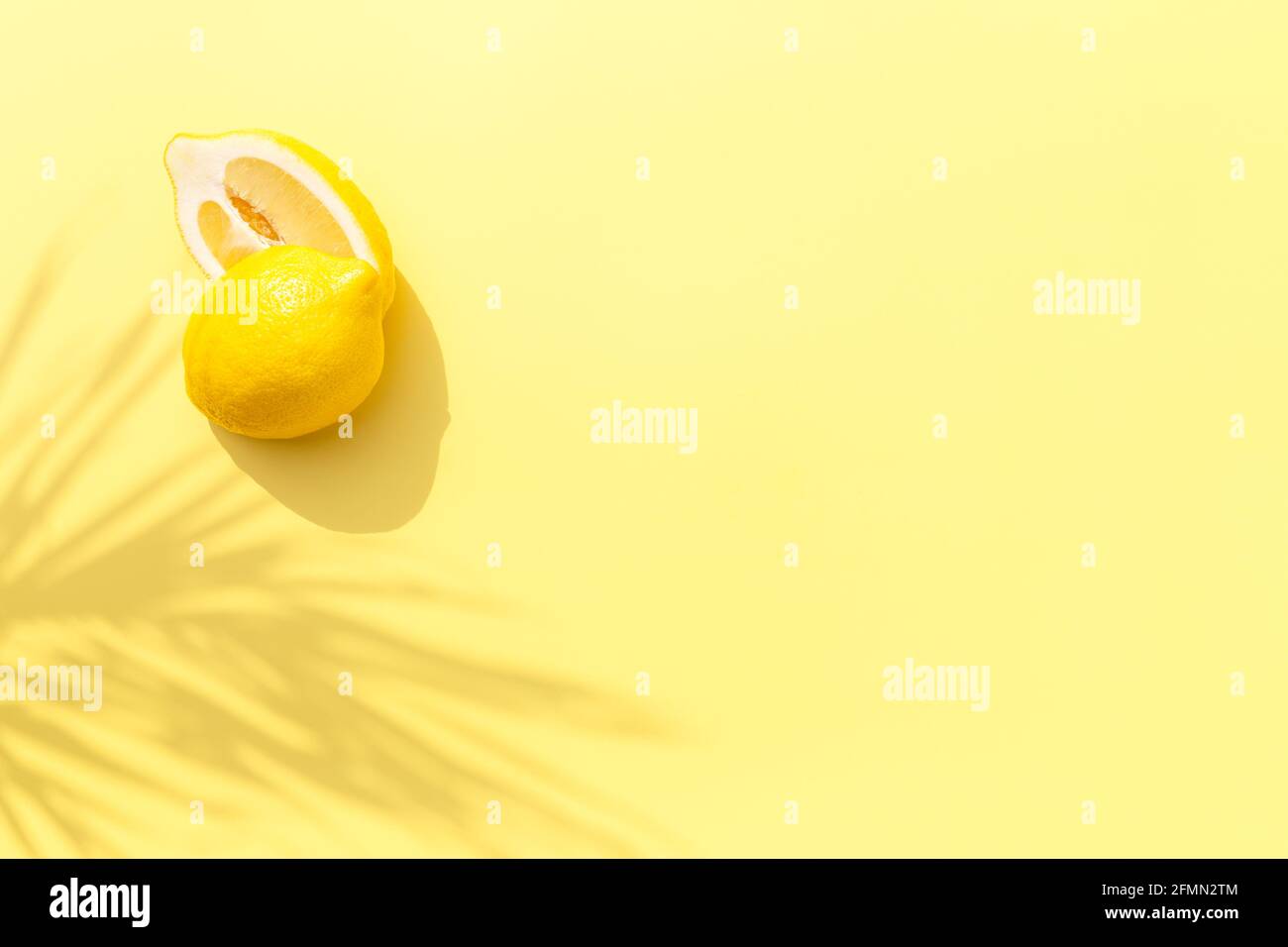 Two halved cuts of lemon with shadow from palm leaf on yellow ...