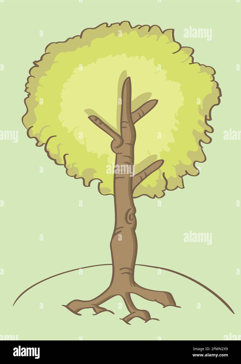 Vector illustration of a tall leafy tree deeply rooted to the ground in ...
