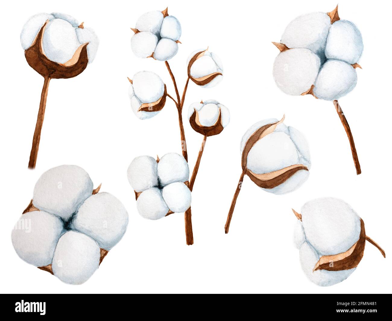 Hand harvest cotton Cut Out Stock Images & Pictures - Alamy