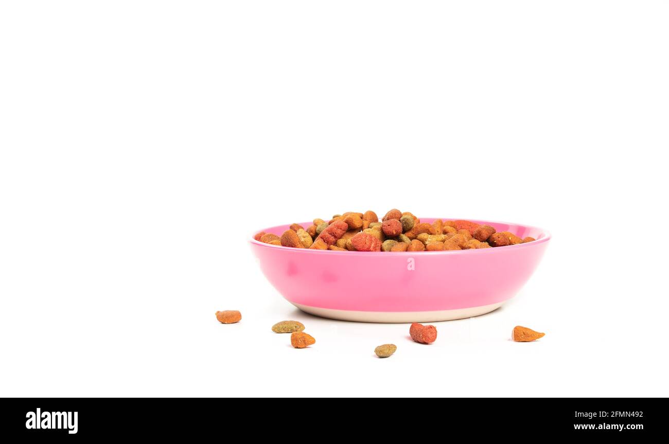 Kibbles in pink pet food dish. Dry cat or small dog food. Multicolored ...