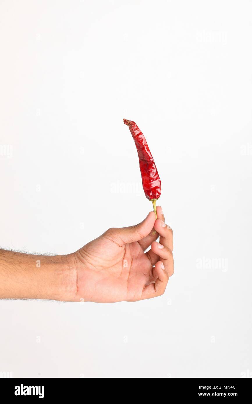 Dry red chilli holding in hand on white background Stock Photo - Alamy