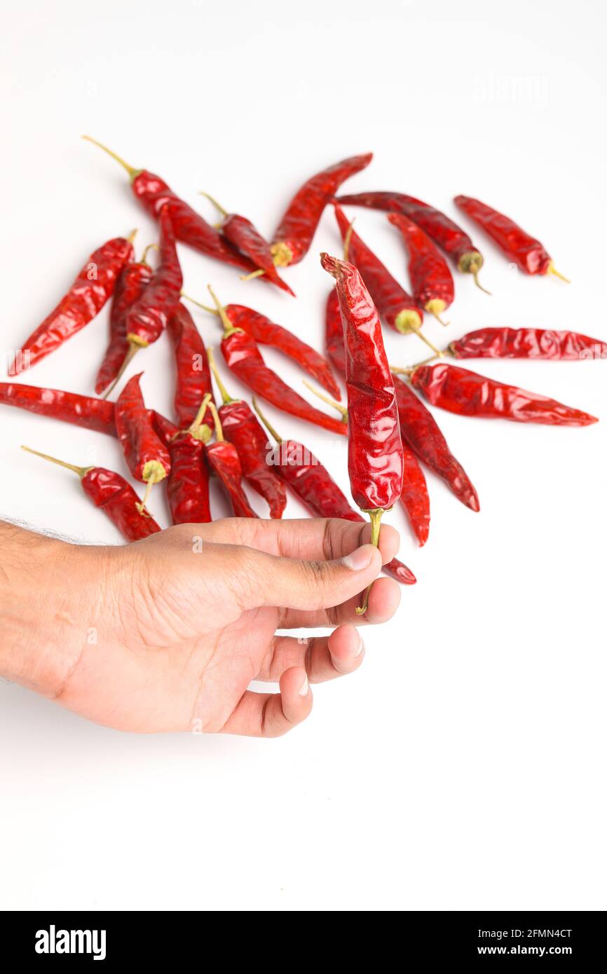 Dry red chilli holding in hand on white background Stock Photo - Alamy