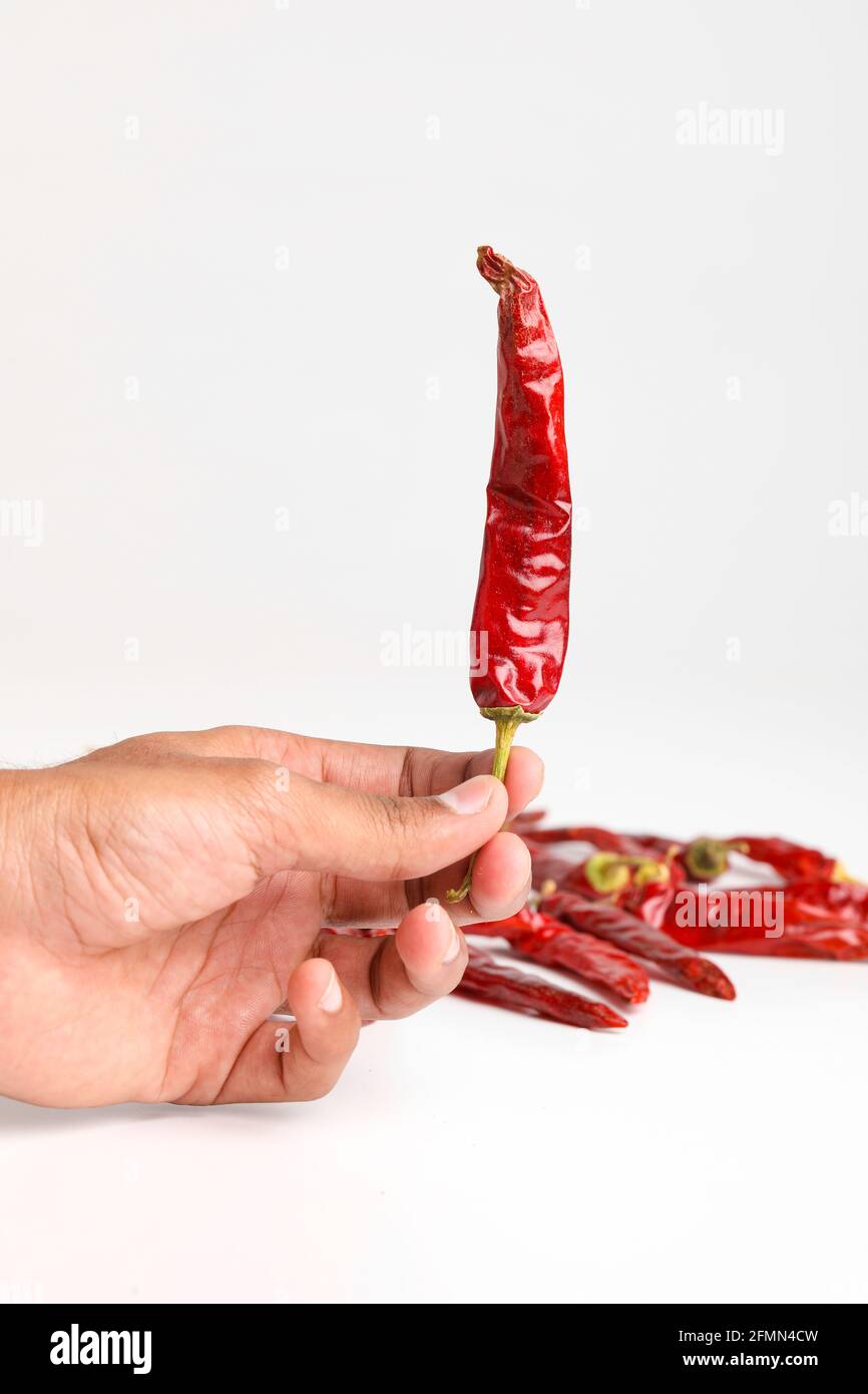 Dry red chilli holding in hand on white background Stock Photo - Alamy