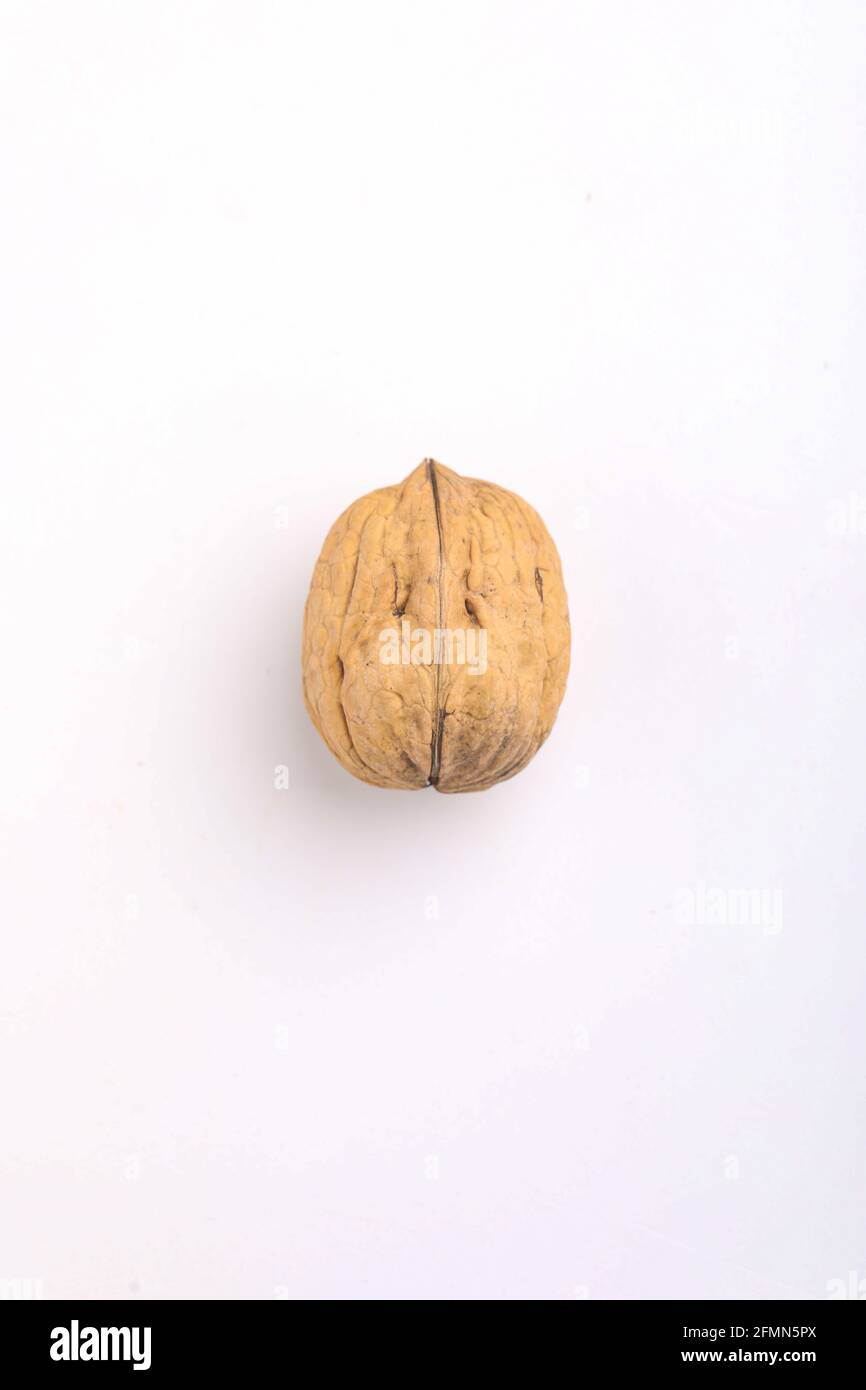 Walnut isolated on a white background Stock Photo - Alamy