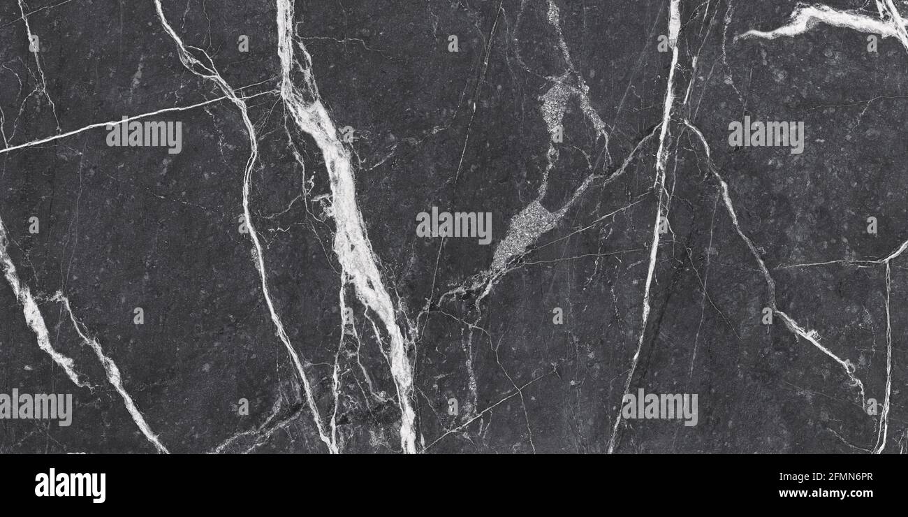 Pietra grey Marble design with polished finish natural veins original ...
