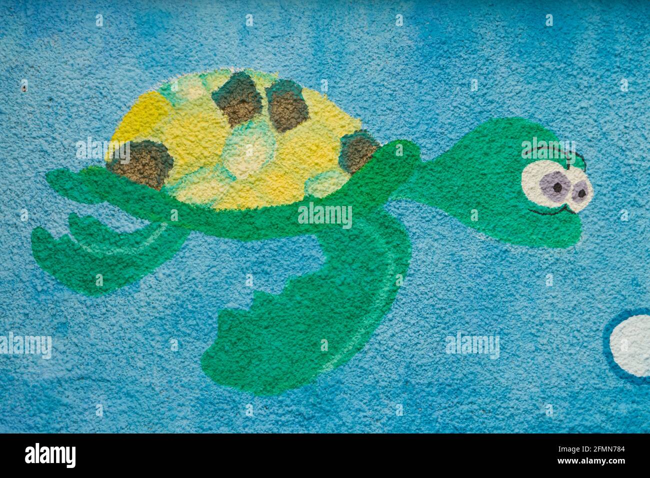 Graffiti turtle hi-res stock photography and images - Alamy