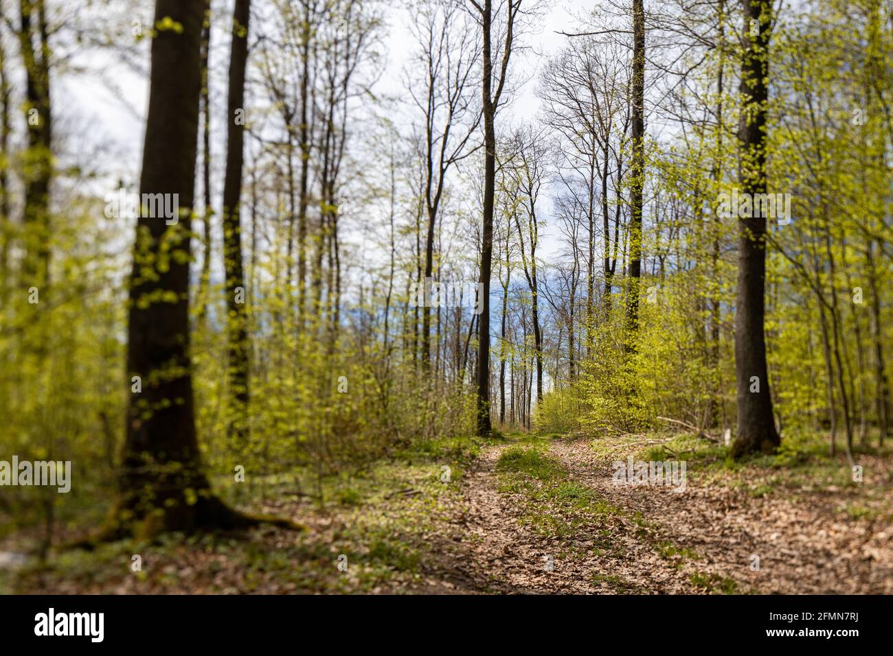 Ungewohnliche scharfeebene hi-res stock photography and images - Alamy