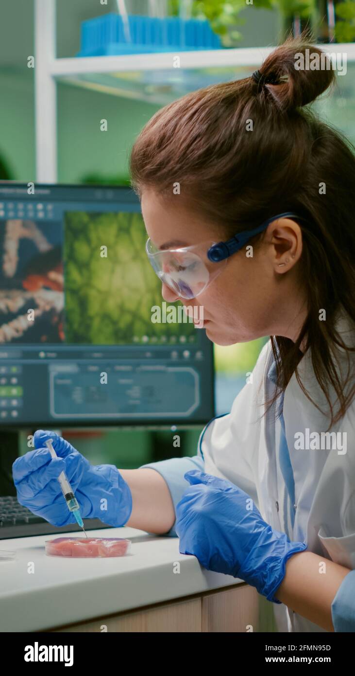 Chemist injecting vegan beef meat with protein using medical syringe ...