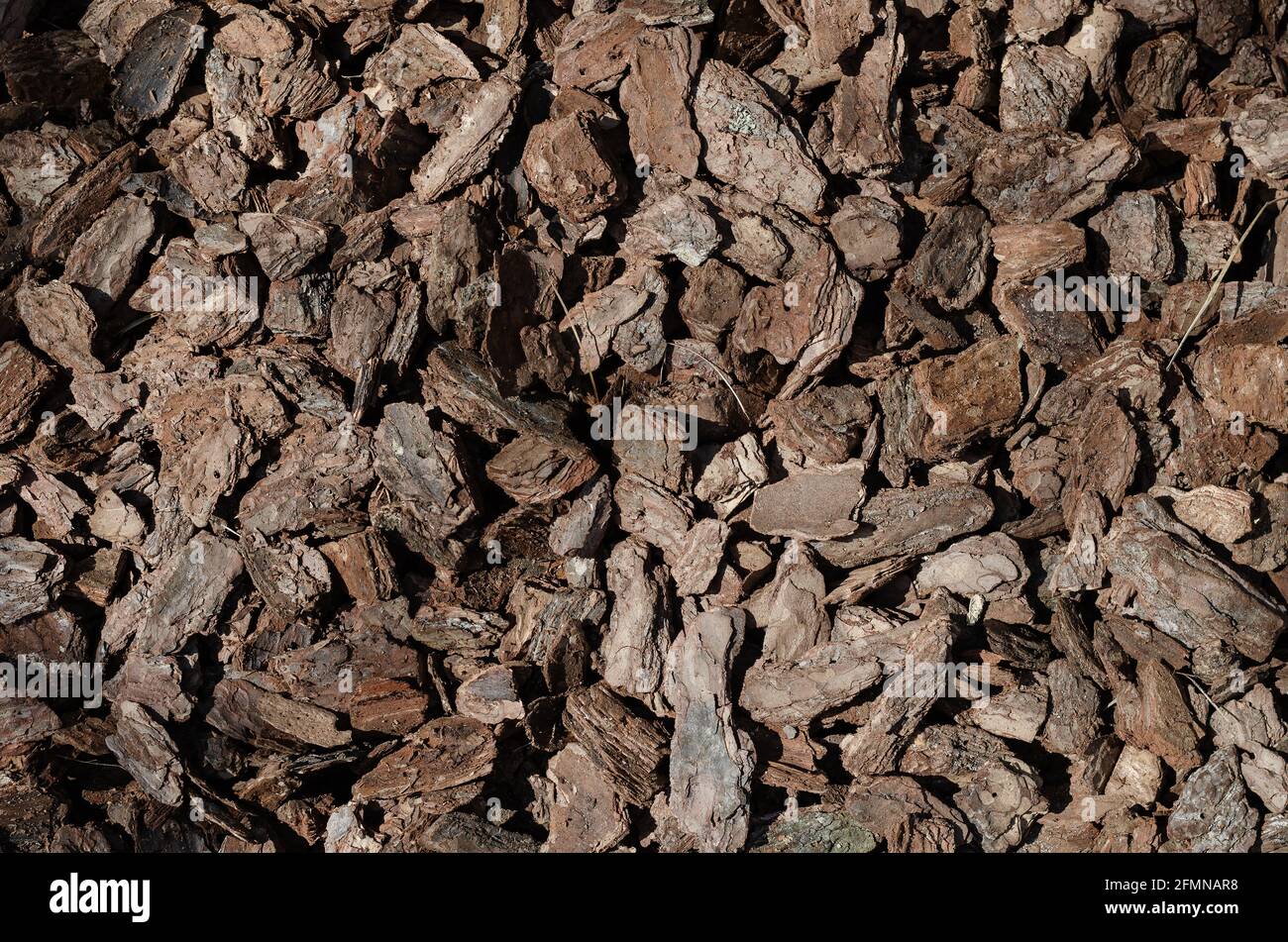 Shredded pine bark for mulching. Natural bark used as a soil covering ...