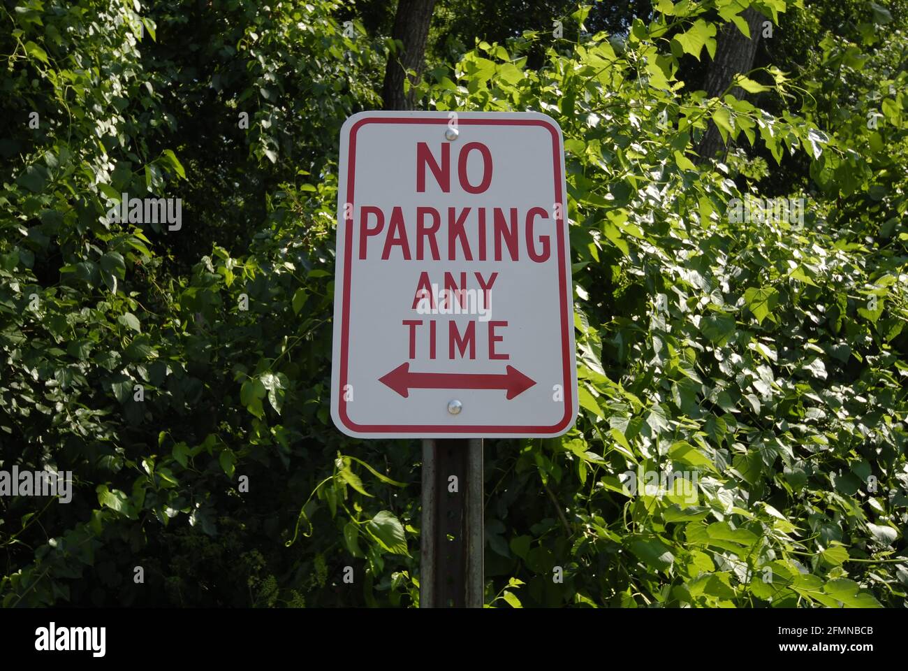No parking sign with green trees and shrubs in the background Stock ...