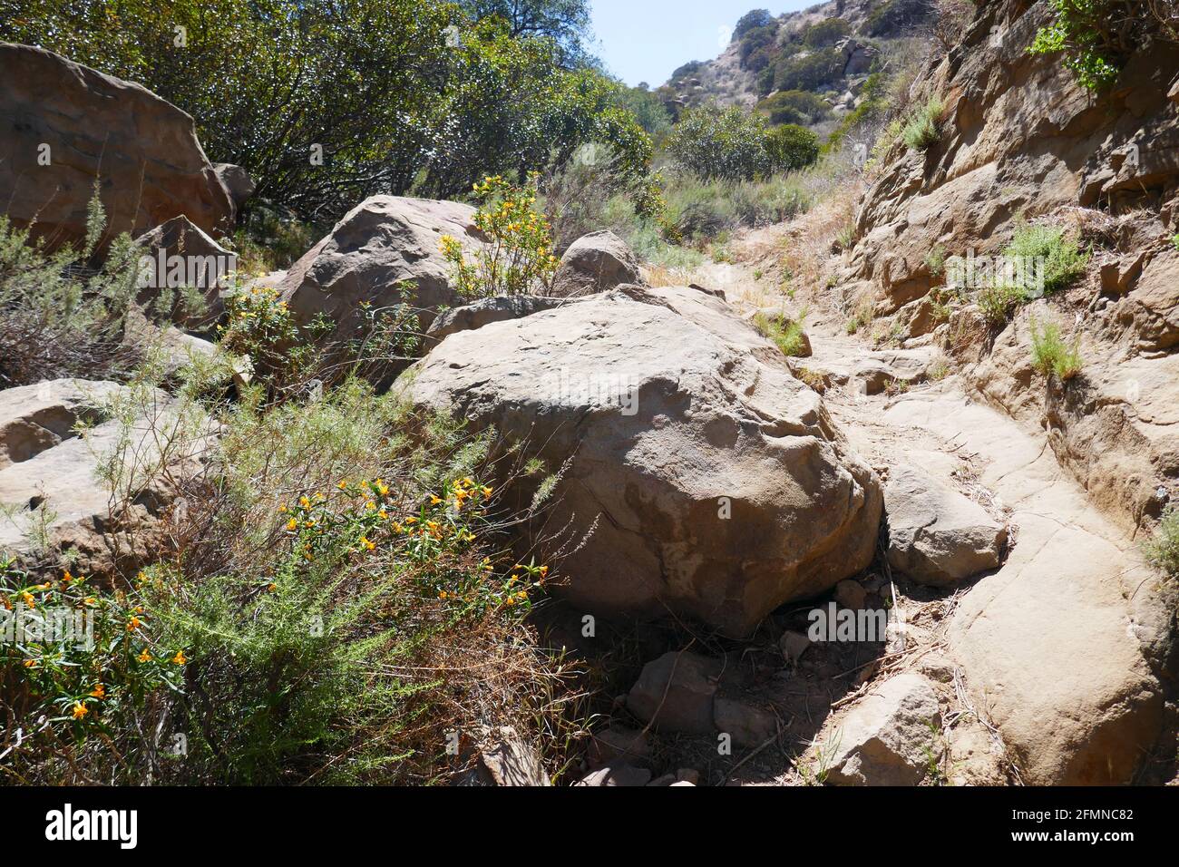 Chatsworth, California USA 3rd May 2021 A general view of atmosphere of ...