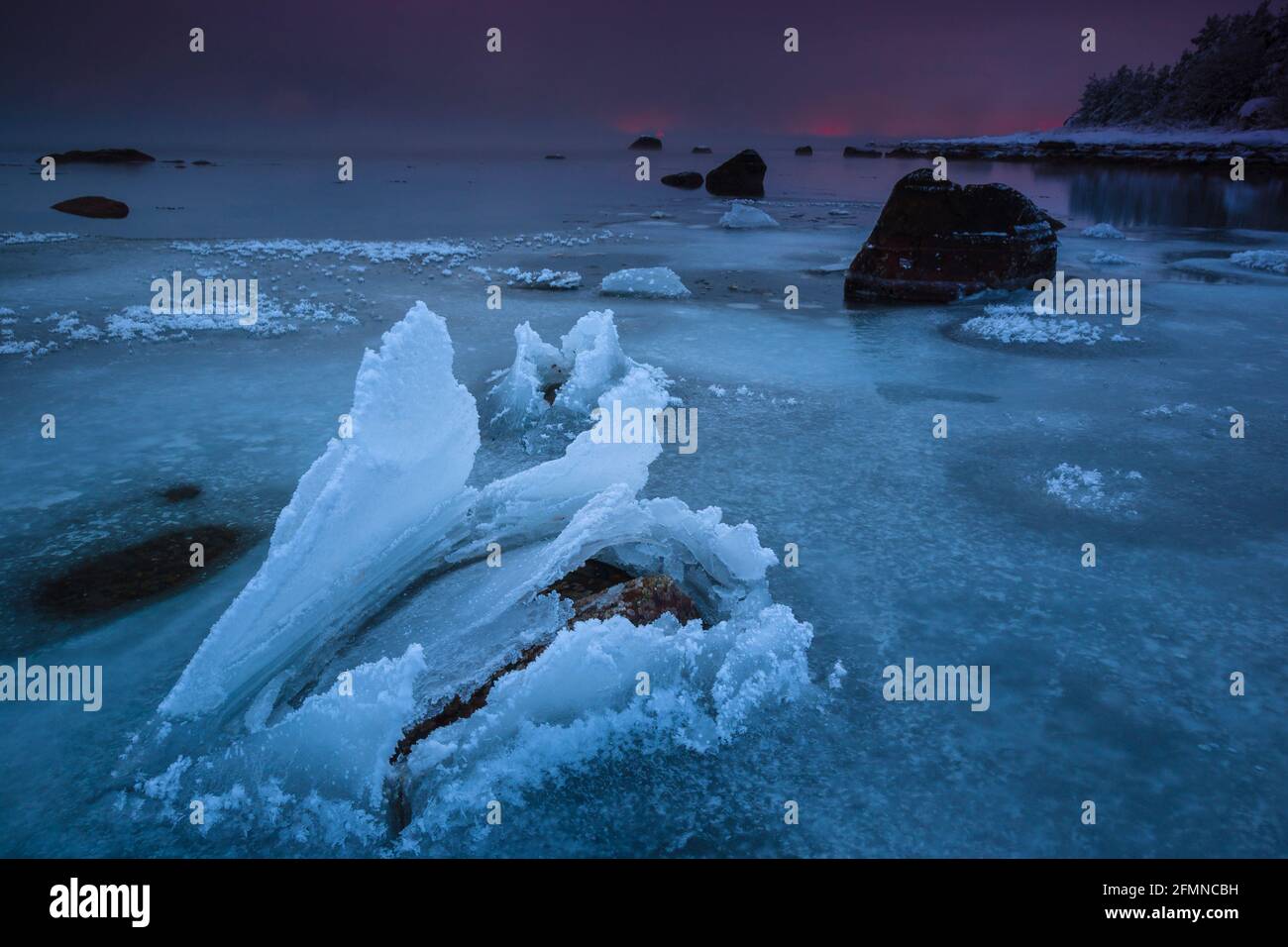 Calendar 2010 hi-res stock photography and images - Alamy