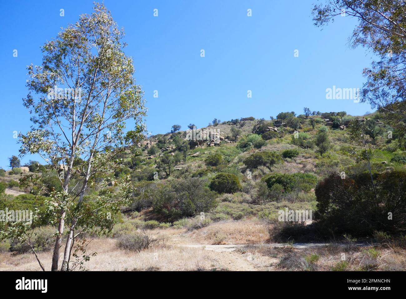 Aka bonanza hi-res stock photography and images - Alamy