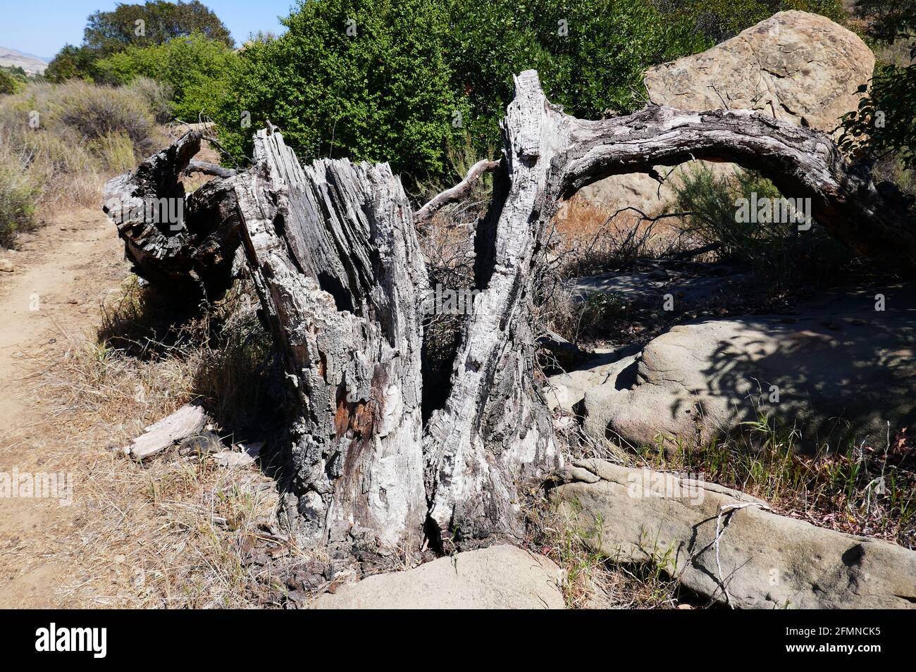Chatsworth, California USA 3rd May 2021 A general view of atmosphere of ...