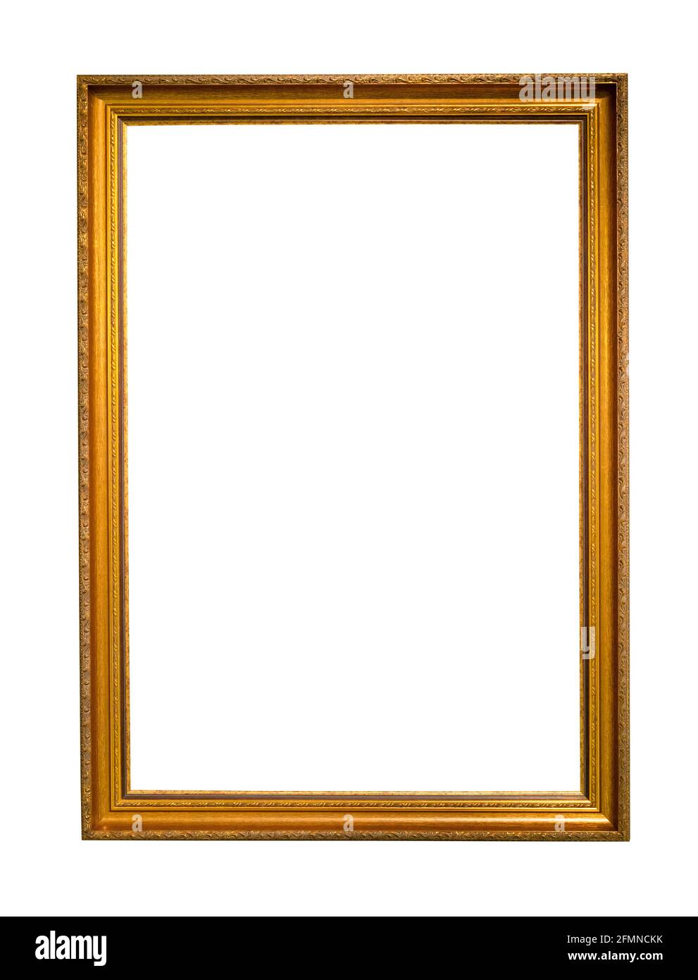 vertical narrow gilded wood picture frame with blank canvas cutout on ...