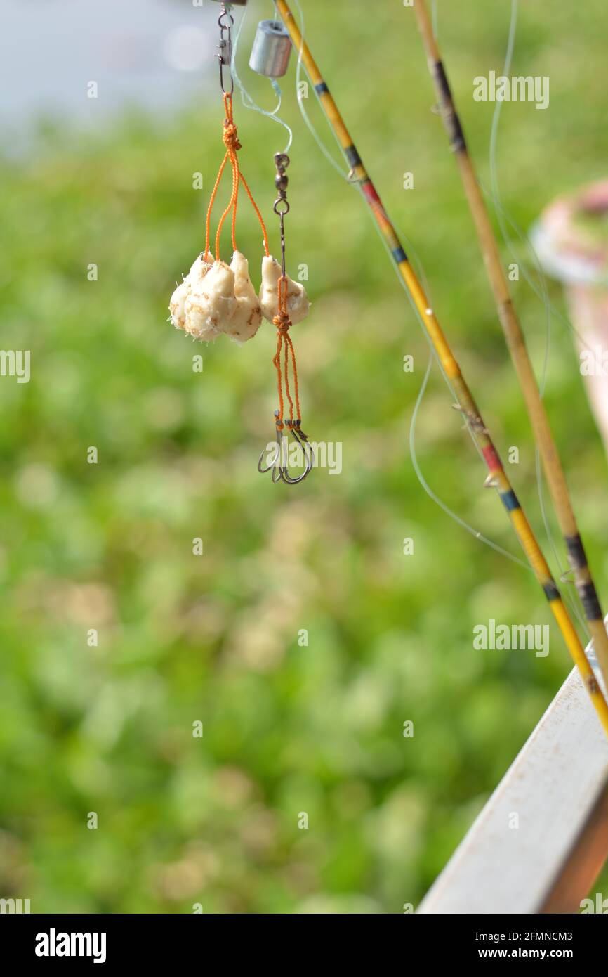 String equipment hi-res stock photography and images - Alamy