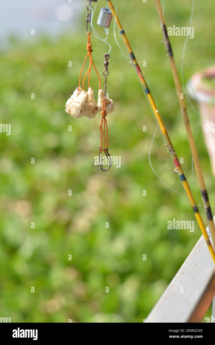 Indian fish hook hi-res stock photography and images - Alamy