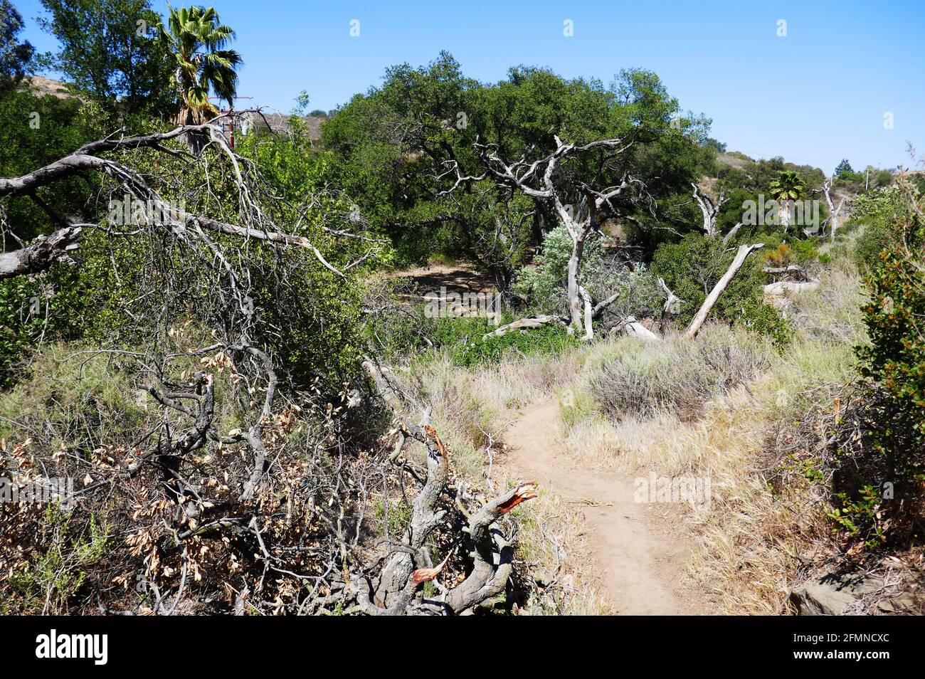 Chatsworth, California USA 3rd May 2021 A general view of atmosphere of ...