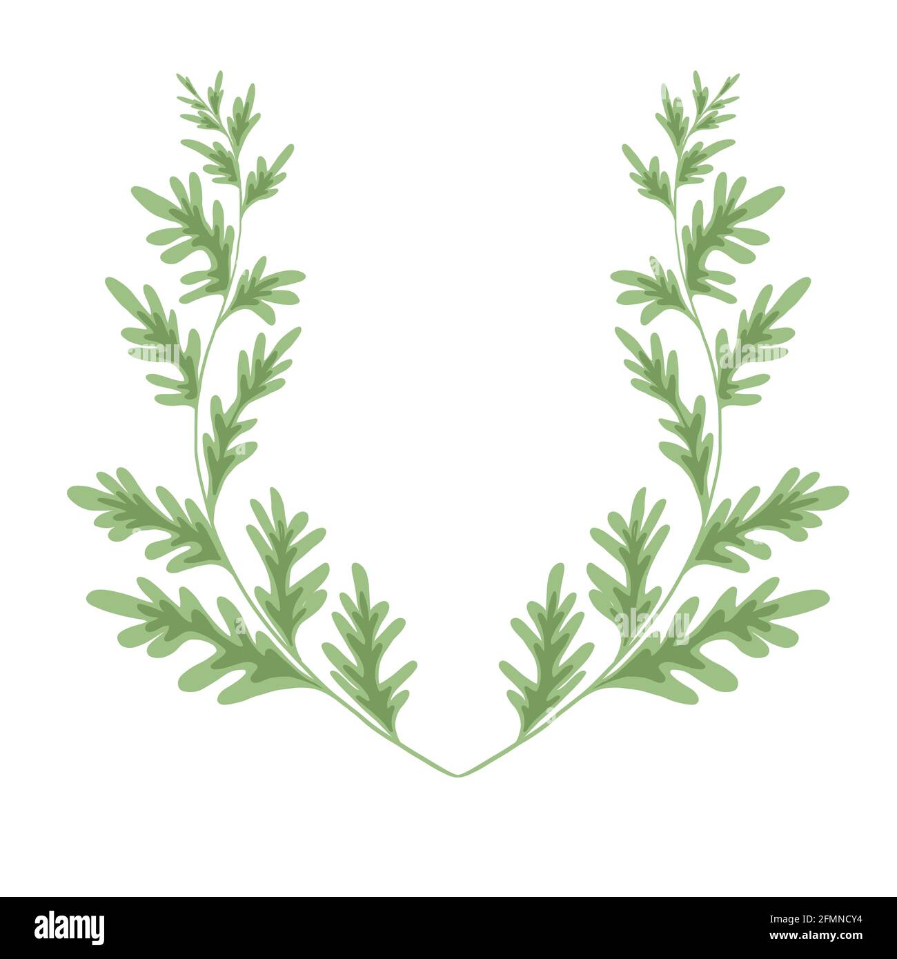 Wormwood herbaceous frame on a white background. Template with grass ...