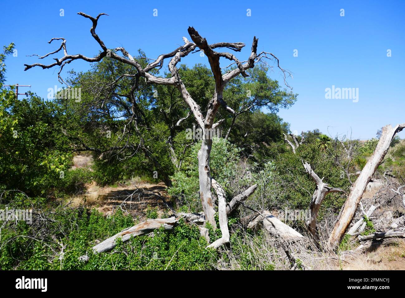 Chatsworth, California USA 3rd May 2021 A general view of atmosphere of ...