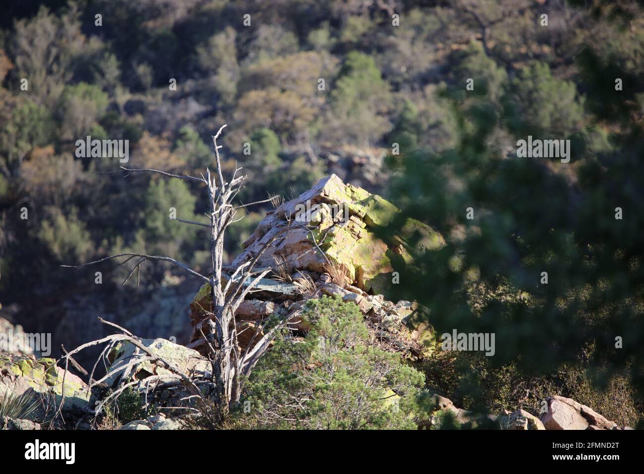 Rocky platform hi-res stock photography and images - Alamy