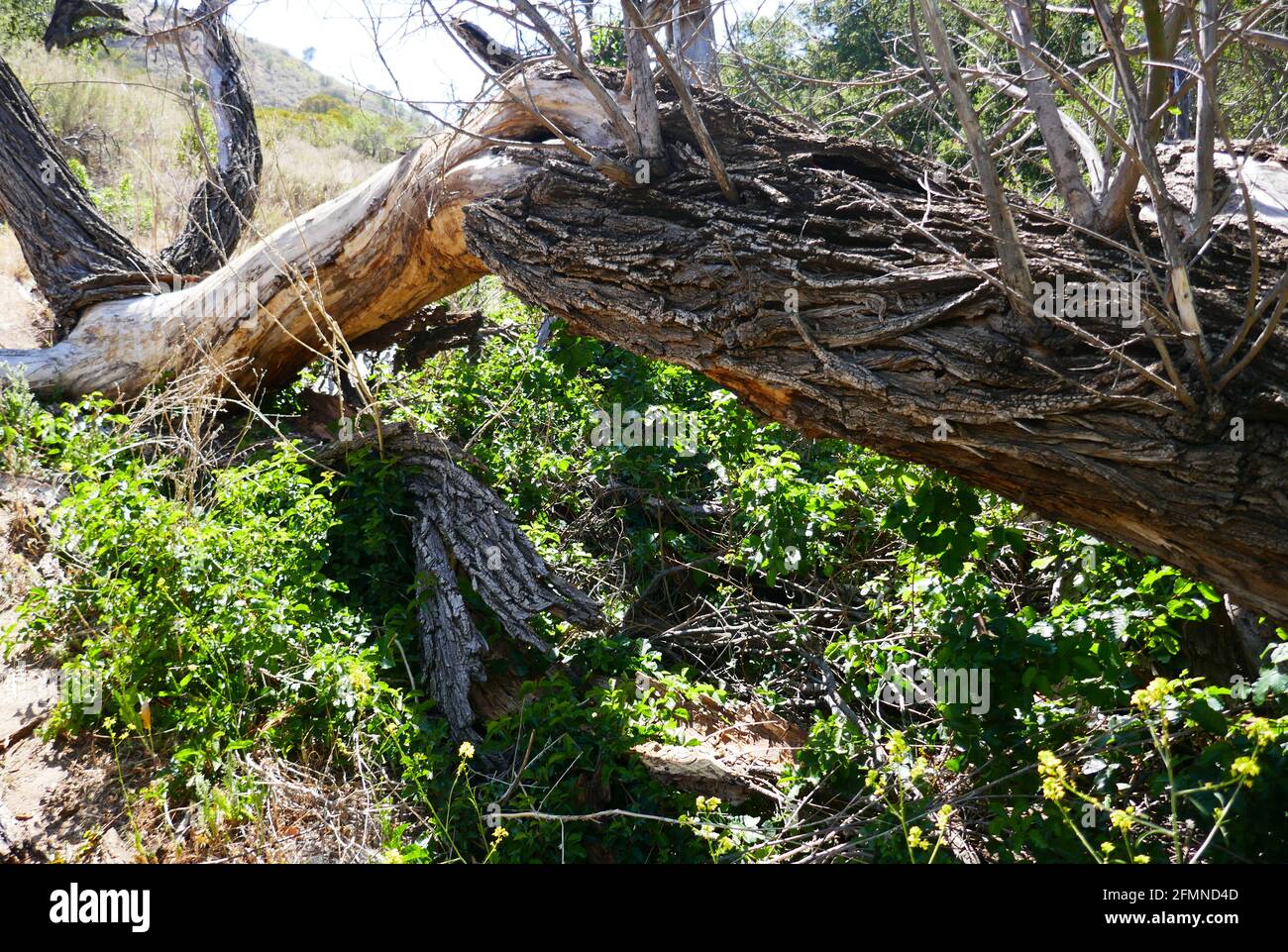 Chatsworth, California USA 3rd May 2021 A general view of atmosphere of ...