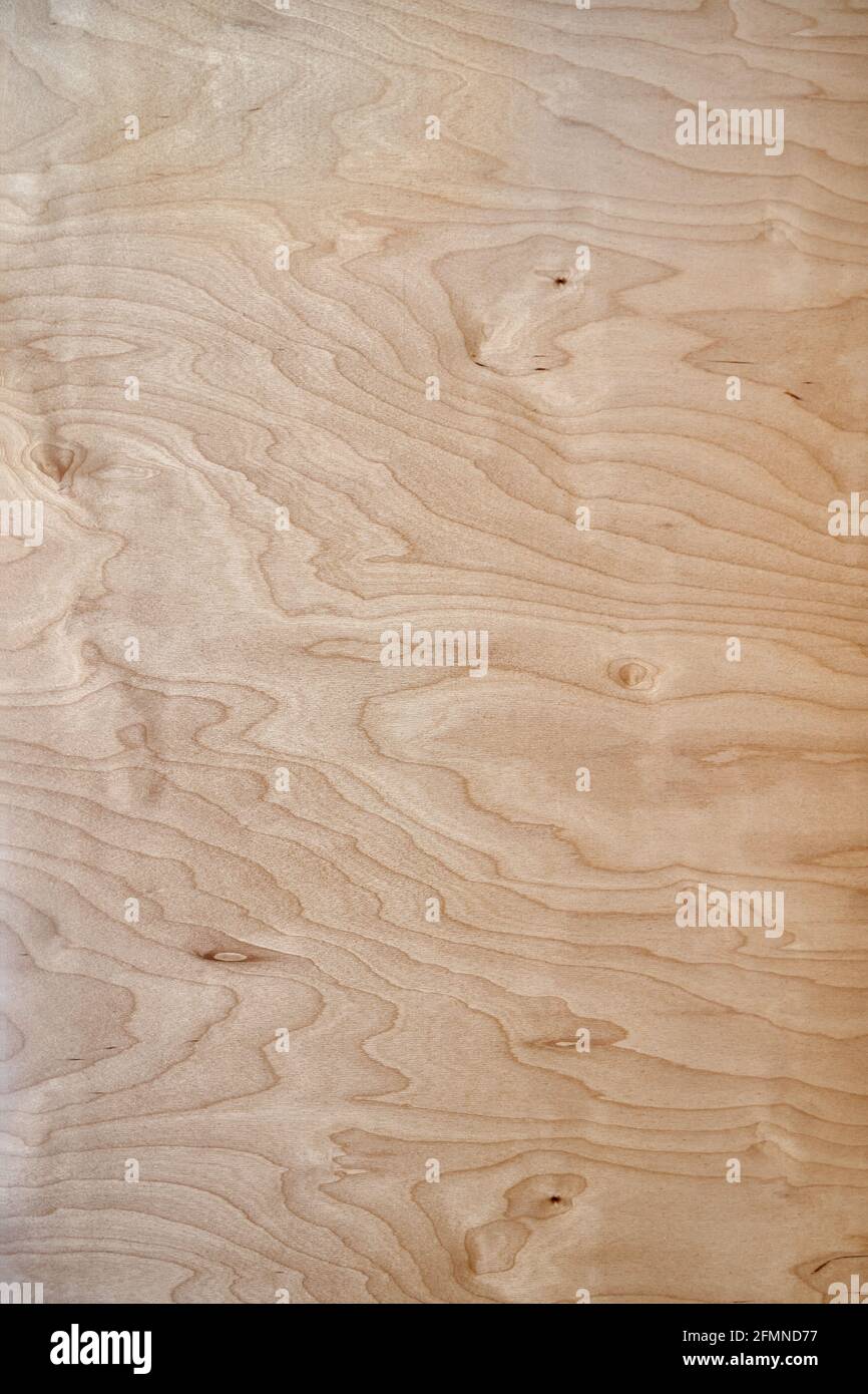 Modern processed building panel of light plywood with swirls patterns ...