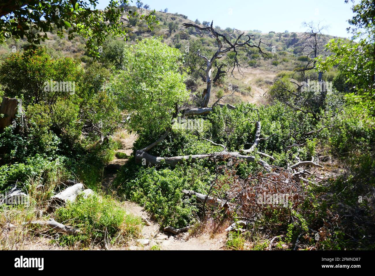Chatsworth, California USA 3rd May 2021 A general view of atmosphere of ...