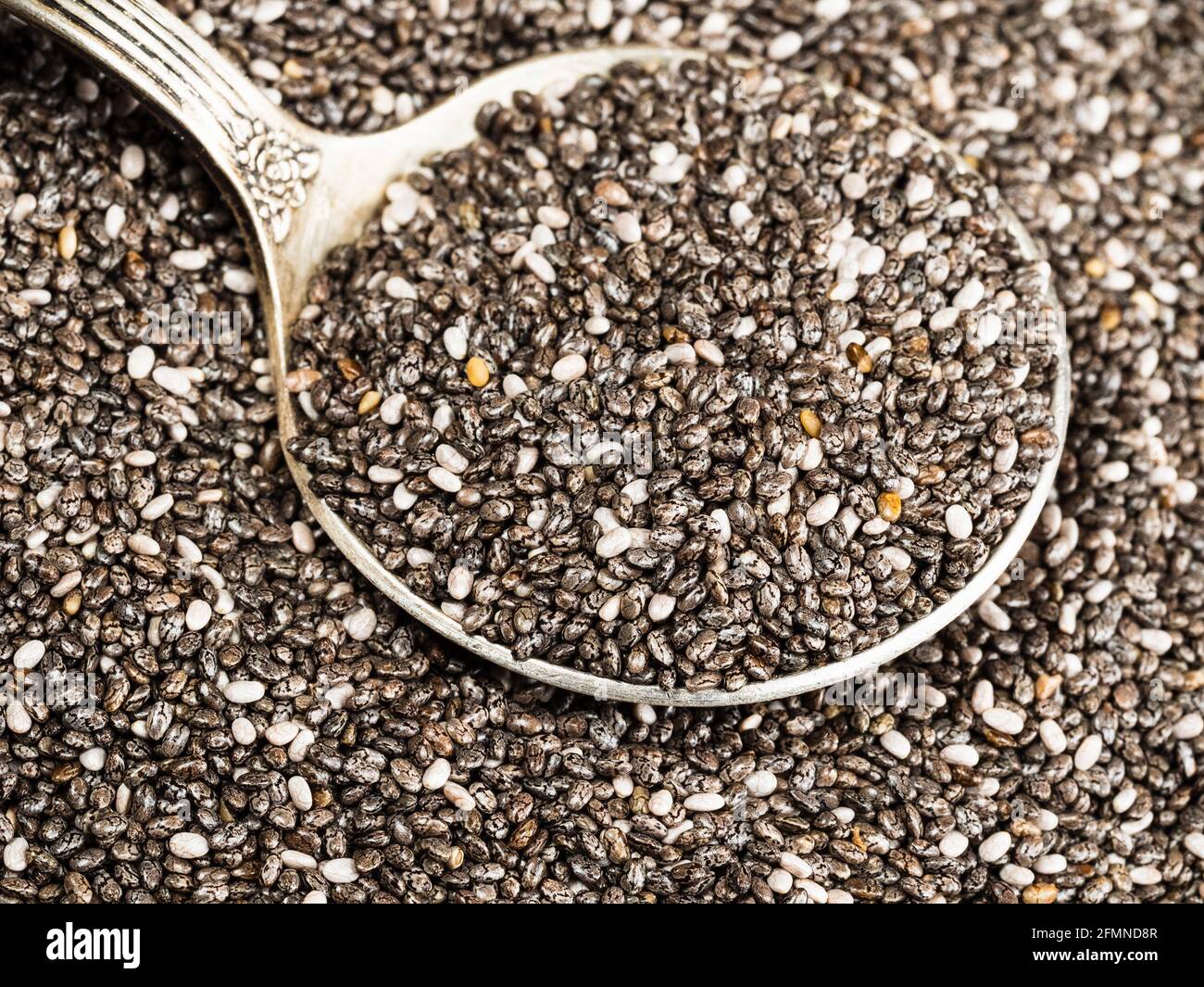 Silver Salvia High Resolution Stock Photography and Images - Alamy