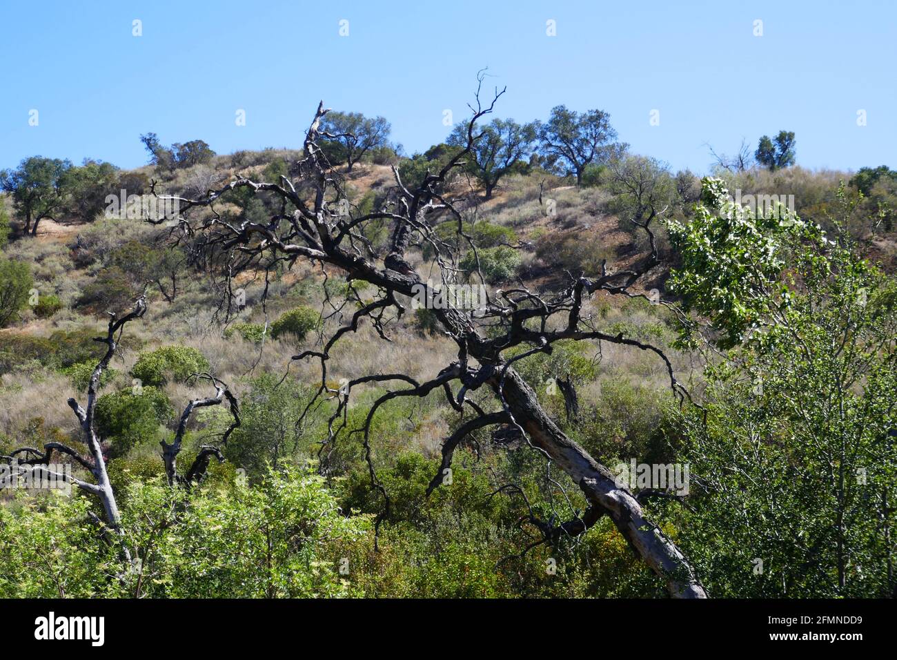 Chatsworth, California USA 3rd May 2021 A general view of atmosphere of ...
