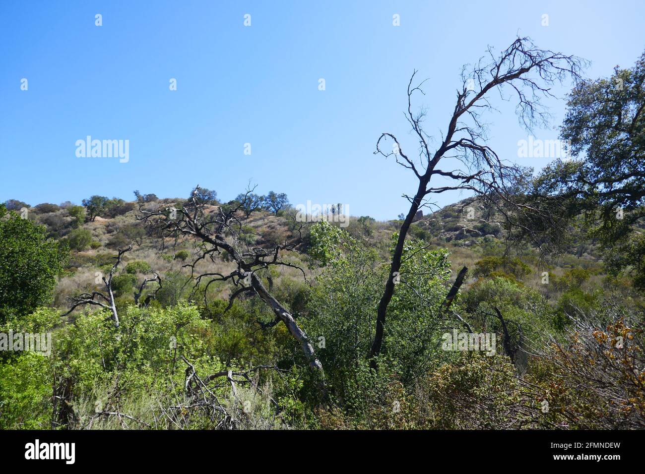 Chatsworth, California USA 3rd May 2021 A general view of atmosphere of ...