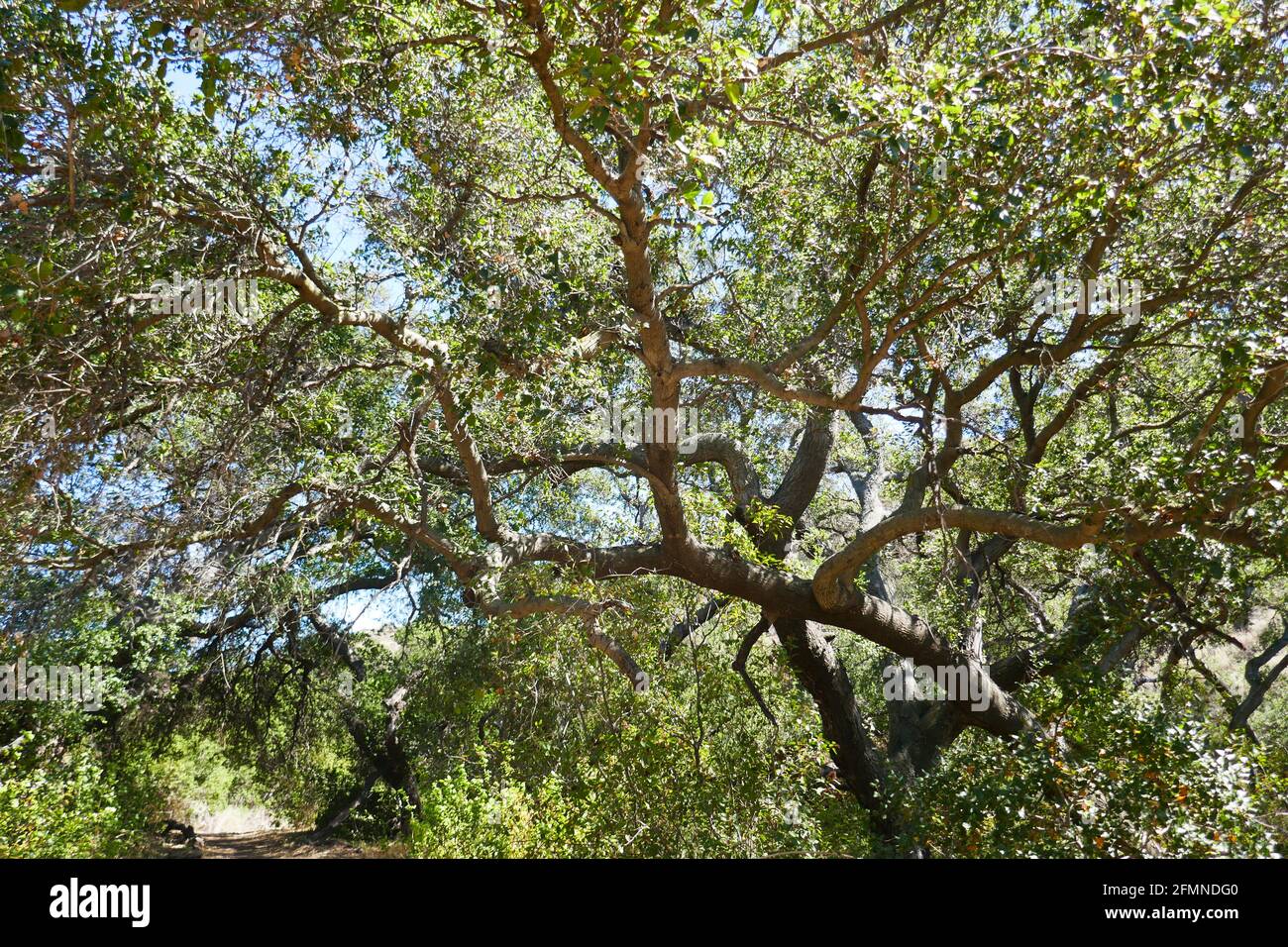 Chatsworth, California USA 3rd May 2021 A general view of atmosphere of ...