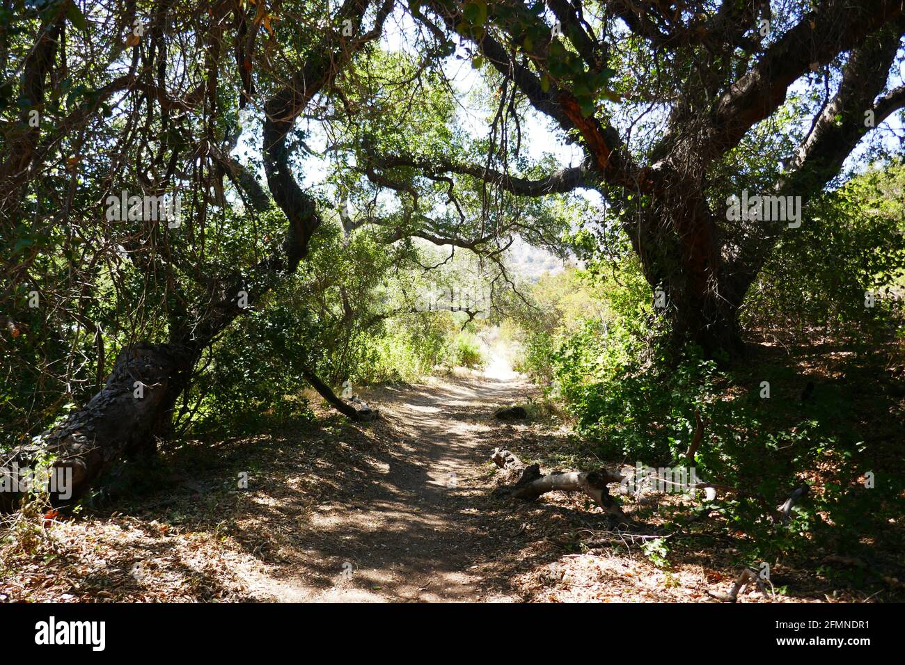 Chatsworth, California USA 3rd May 2021 A general view of atmosphere of ...